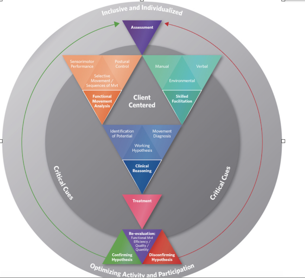 Model klinične prakse | IBITA 2021
